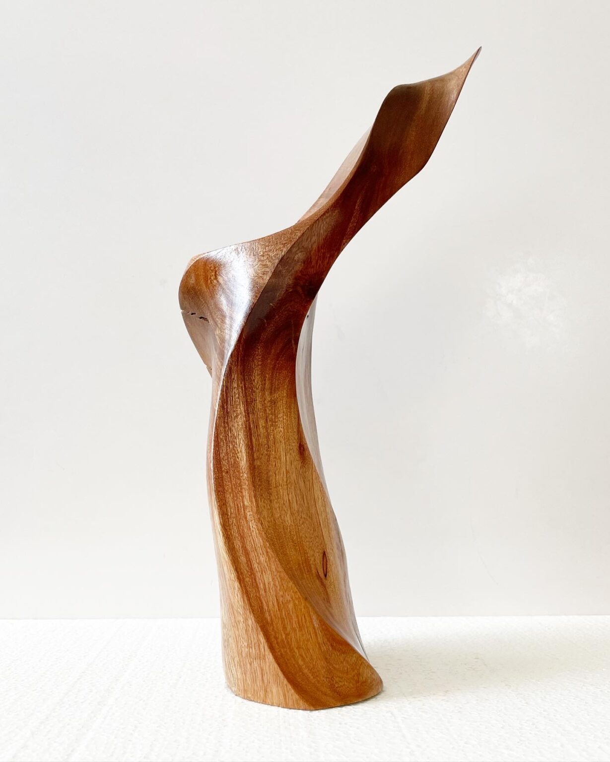 Woodworking | Intro to Power Carving: Sculptural Art – San Diego Craft ...