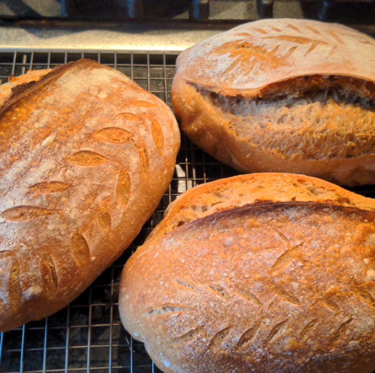 Culinary | Hands-On Sourdough Bread Workshop – San Diego Craft Collective