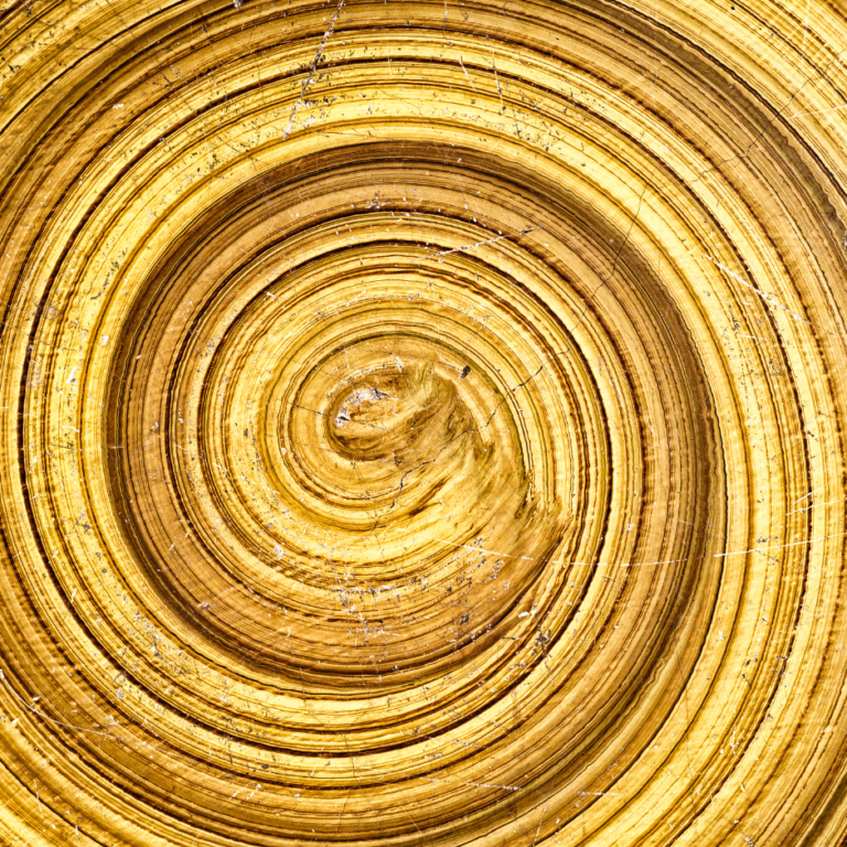 Woodworking | Steam Bending Wood – San Diego Craft Collective